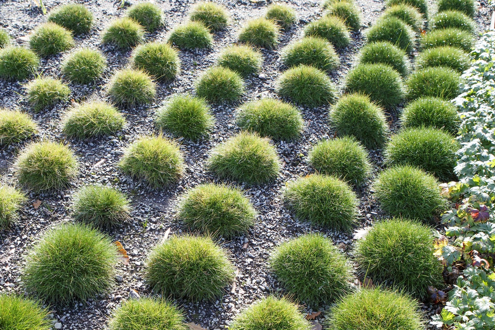 Kasvualustatietoa - Kekkilä.fi