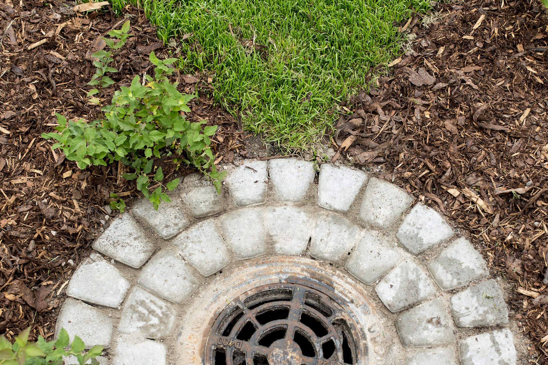 Kekkilä Viherrakentaminen - kohde-esittely - rivitalopiha Viherpojat Oy