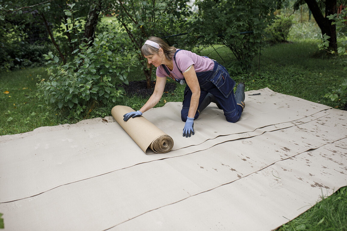 Perusta helppo kasvimaa viljelylaatikkoon - Kekkilä.fi